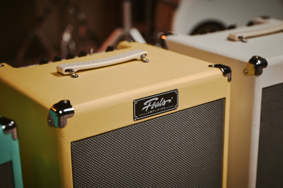 FOALS Bass speaker FK30 Bass Amplifier Practice Rehearsal Performance ...