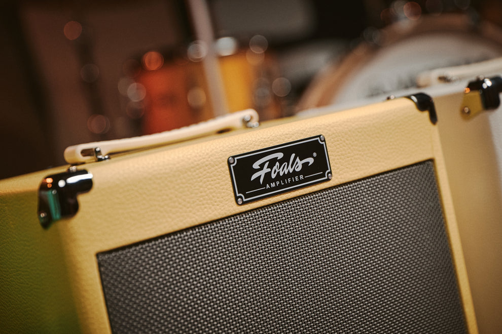 FOALS Bass speaker FK30 Bass Amplifier Practice Rehearsal Performance ...