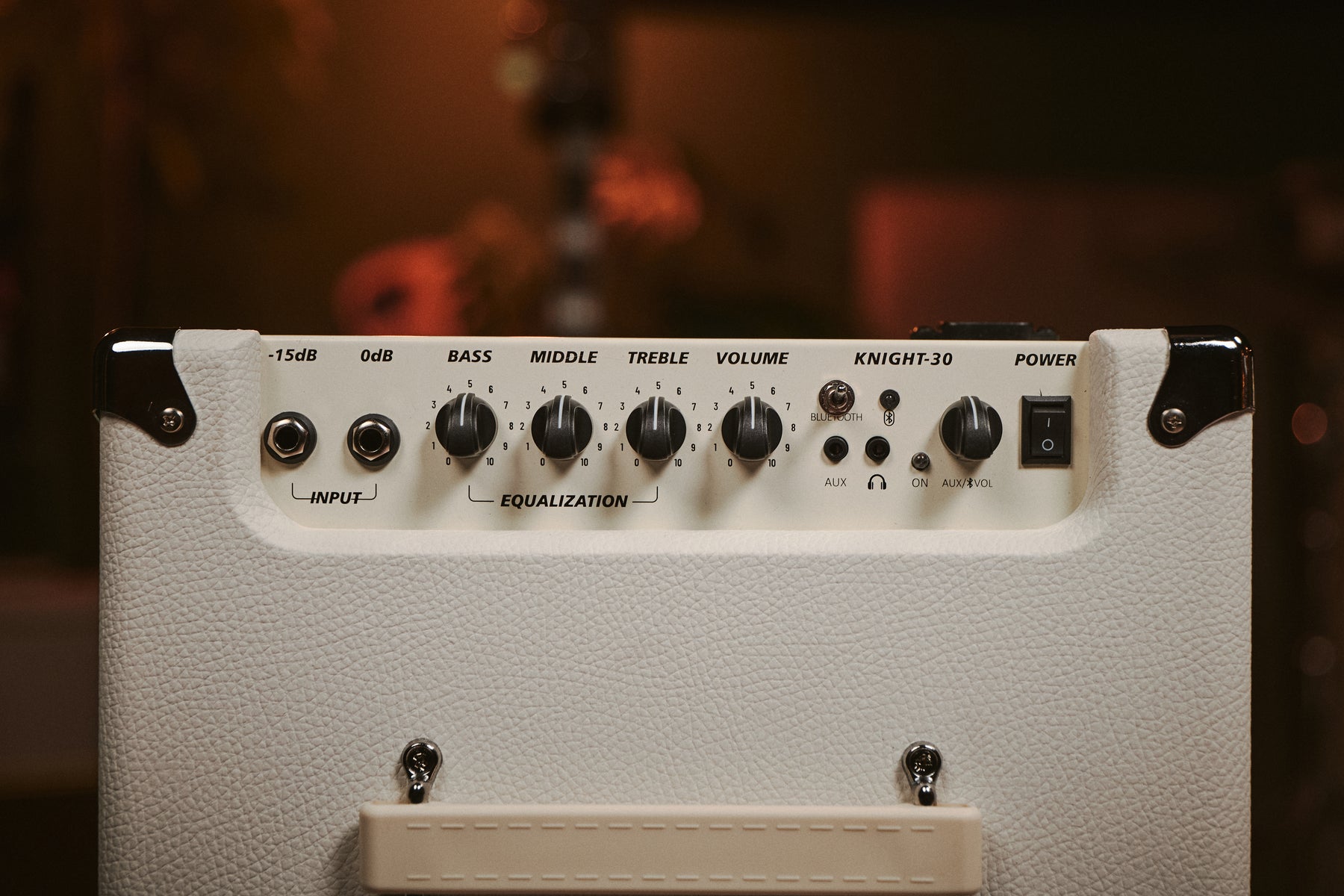 FOALS FK30 KNIGHT 30 Bass Amp – Vintage Series with Active/Passive Inp ...