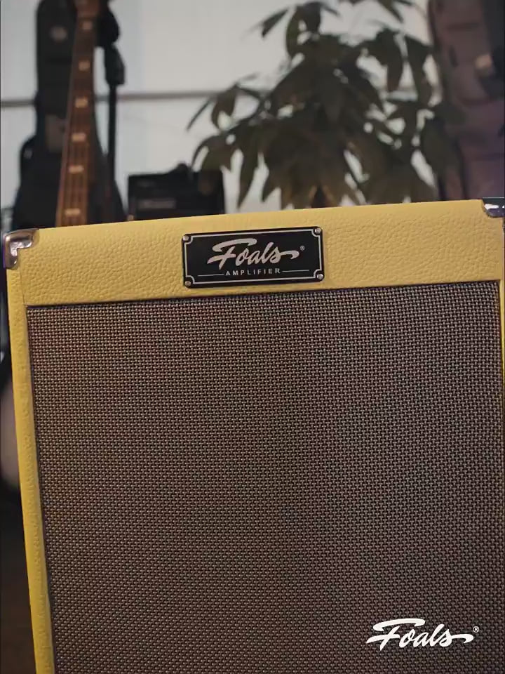 FOALS FK30 KNIGHT 30 Bass Amp – Vintage Series with Active/Passive Inp ...